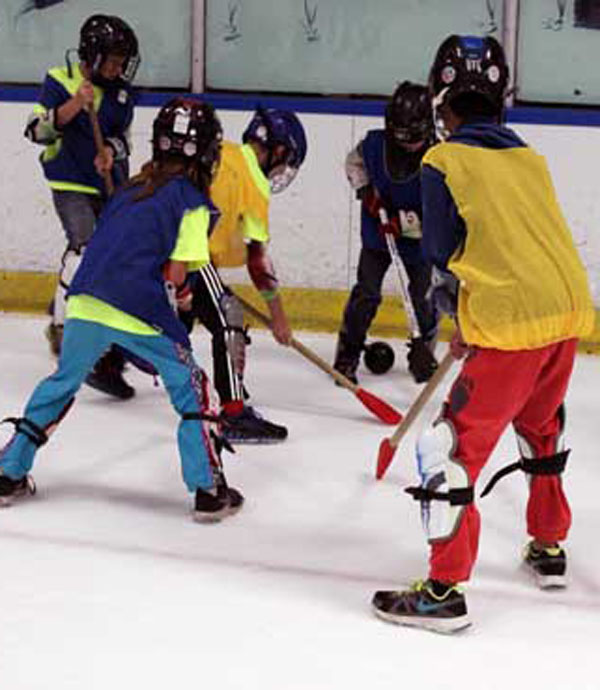 Groups | Private Ice | broomball curling teambuilding | Skatetown Ice ...