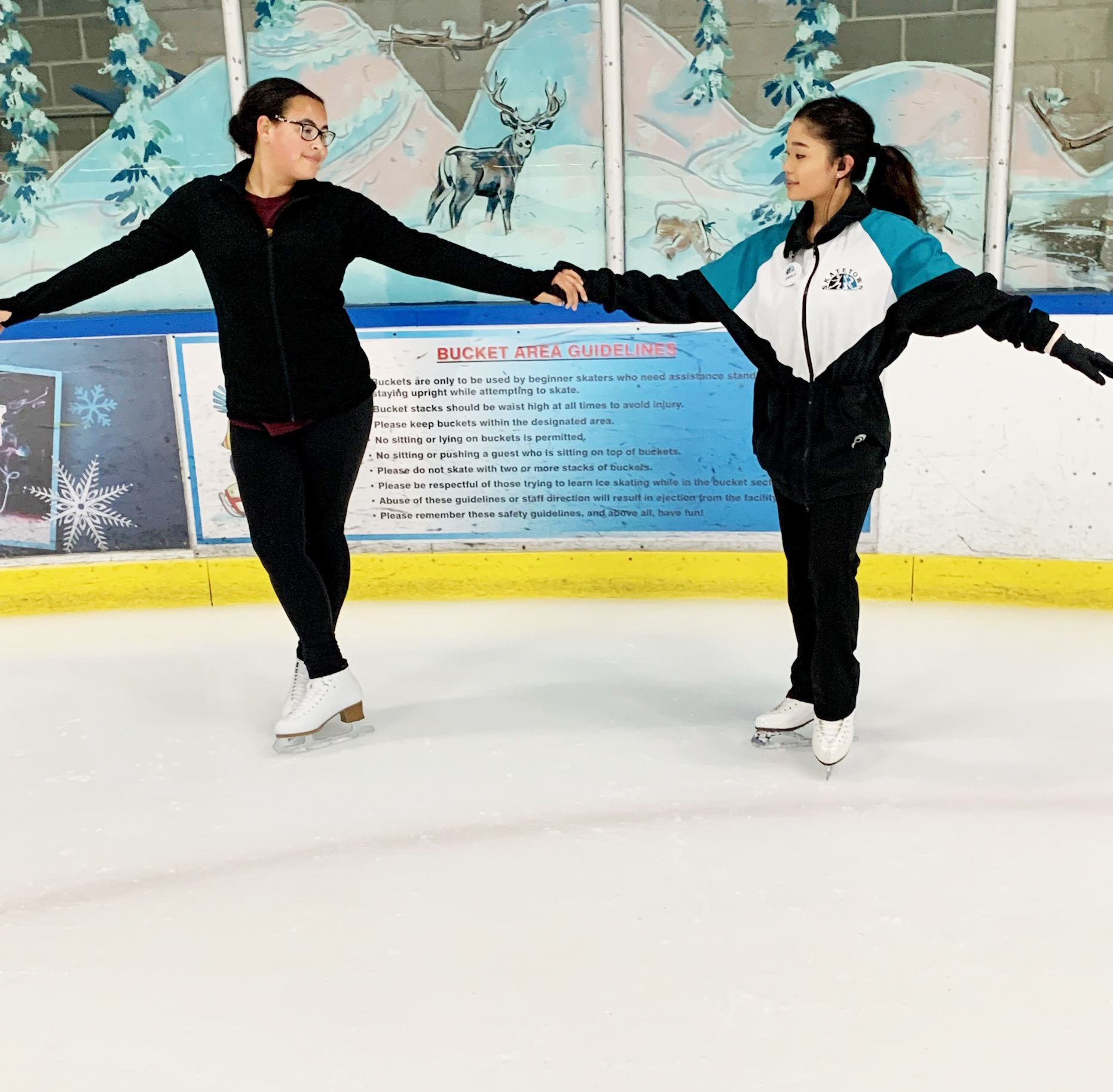 Private Lessons Professional Instructors | Skatetown Ice Arena Roseville CA